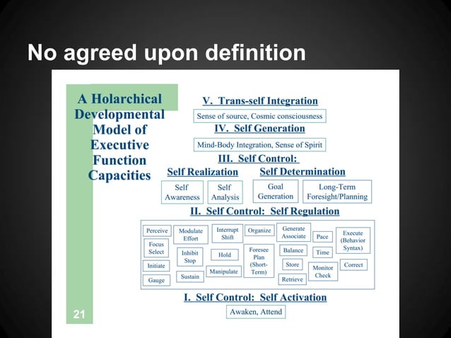 Executive Functioning- Advanced Assessment and Interpretation.pdf