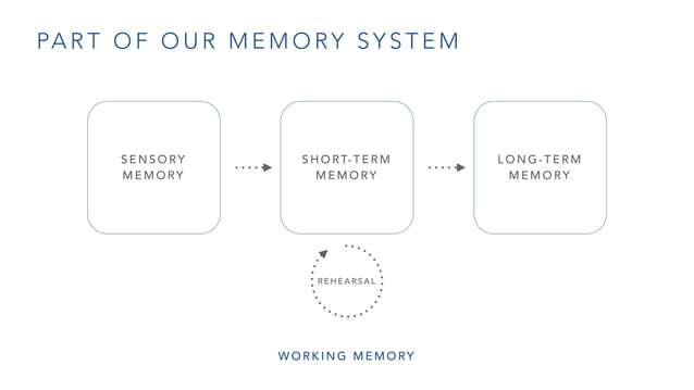 Overview of Executive Function and Working Memory for Kids | PDF