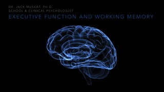 Overview of Executive Function and Working Memory for Kids | PDF
