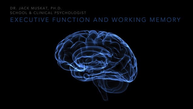 Overview of Executive Function and Working Memory for Kids | PDF