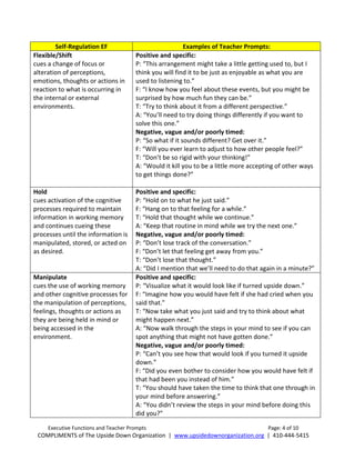 Self-Regulation Executive Function Definitions with Examples of Teacher ...