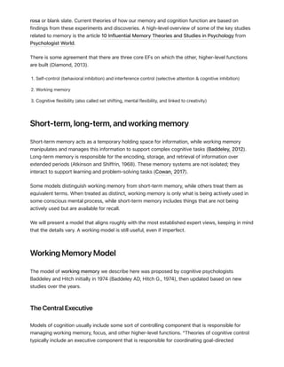 Executive Functions and Working Memory.pdf