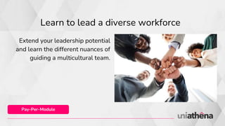 Executive MBA: Take your organisation to the next level | PPTX