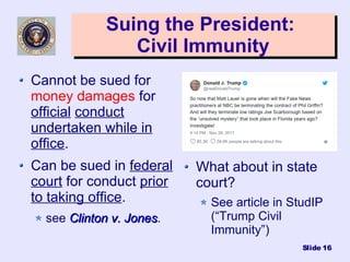 Executive Power, Part I | PDF