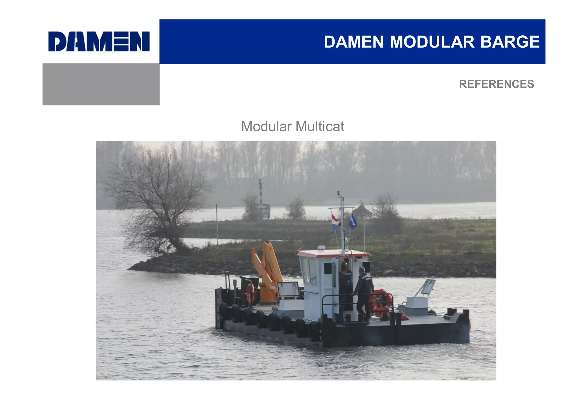 Executive summary dmb small | PDF