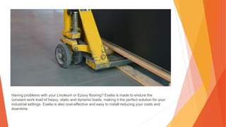 Exelia Slideshare | PPTX