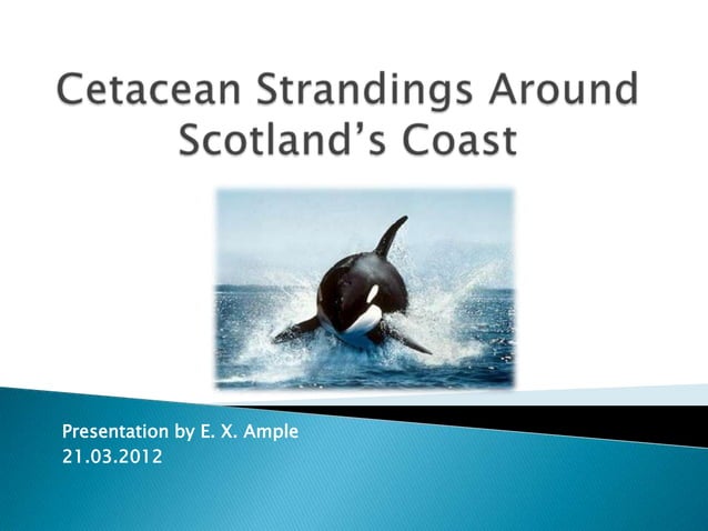 Student Exemplar #1 | PPTX | Science