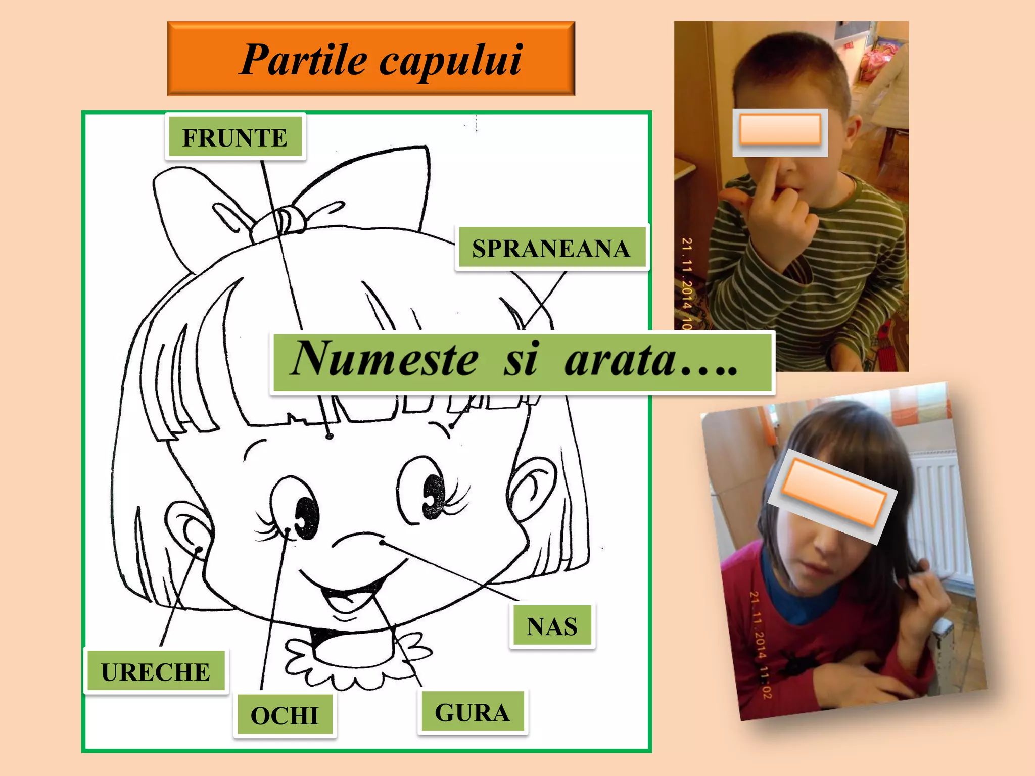 Exemple de buna practica logopedie | PDF