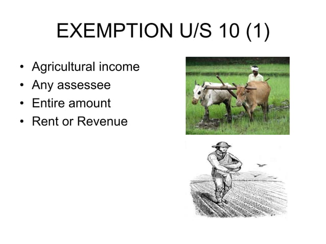Exempted Income.ppt