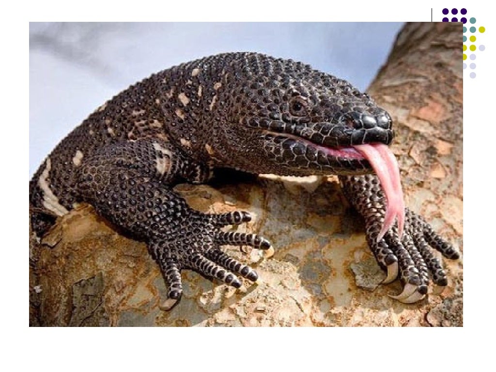 Exenatide Presentation