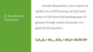 Anaerobic Respiration In Yeast Equation