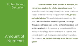 Exercise 14 - Cellular Respiration in Yeast | PDF