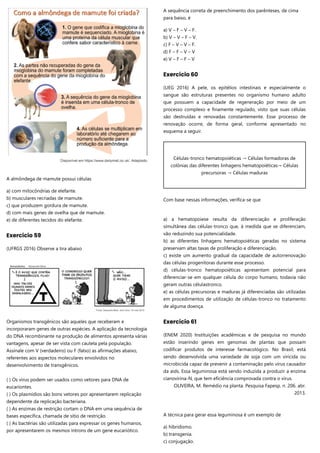 exercícios - biotecnologia.pdf biologiaa | PDF