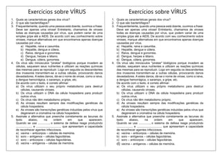 Vírus Exercícios | PPT