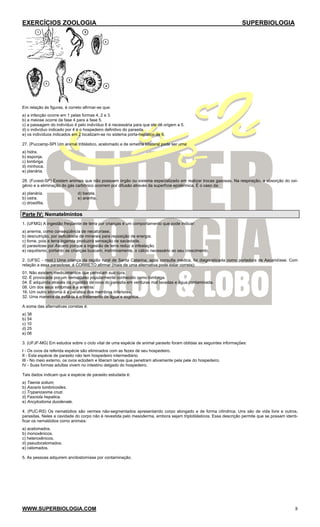Exercicios zoologia gabarito | PDF