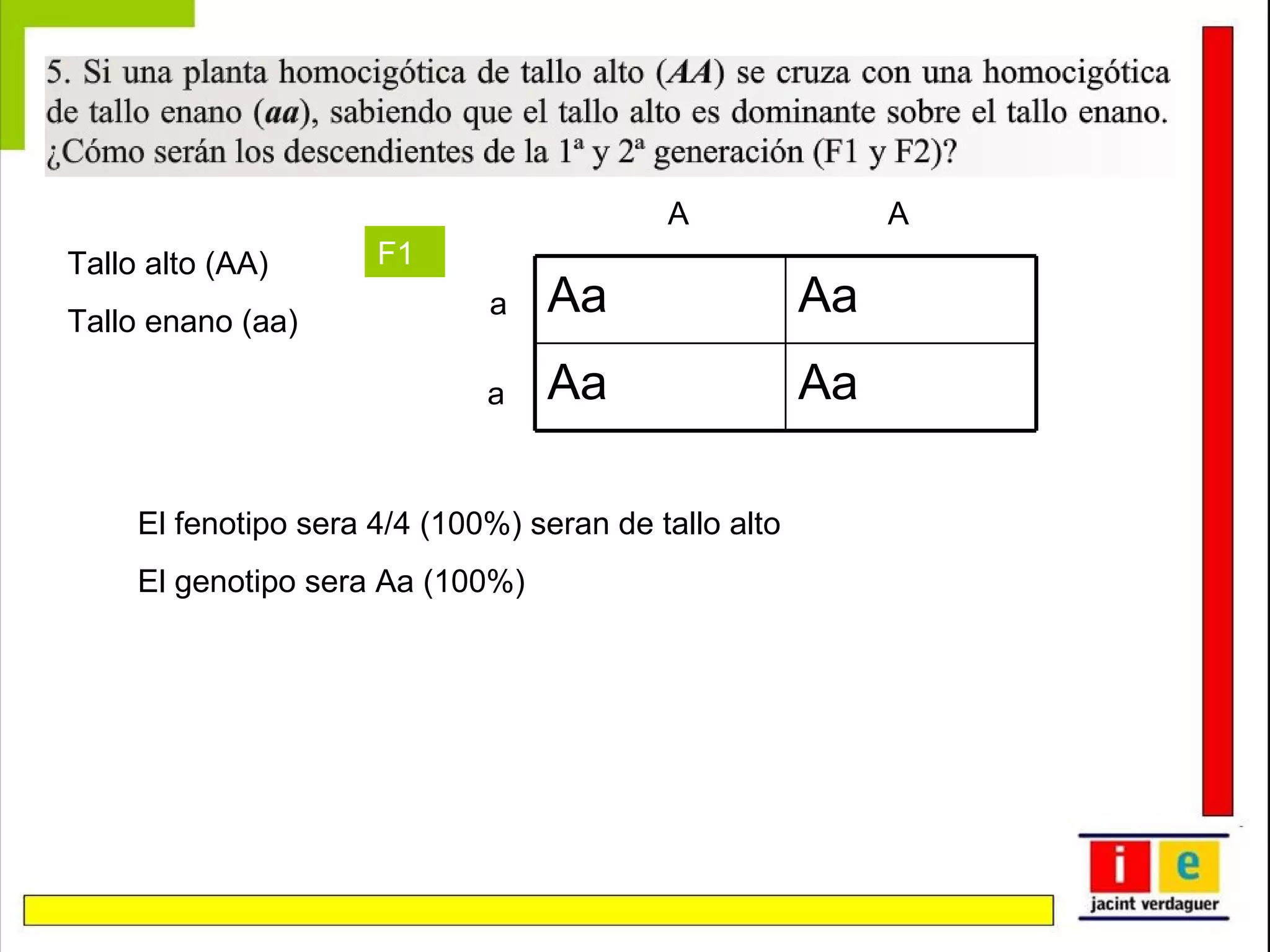 Exercicis genetica | PPT