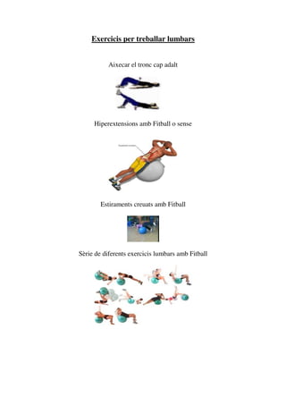 Exercicis per treballar lumbars | PDF