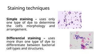 Exercise-1-Smear-Preparation-and-Introduction-to-Staining.pptx