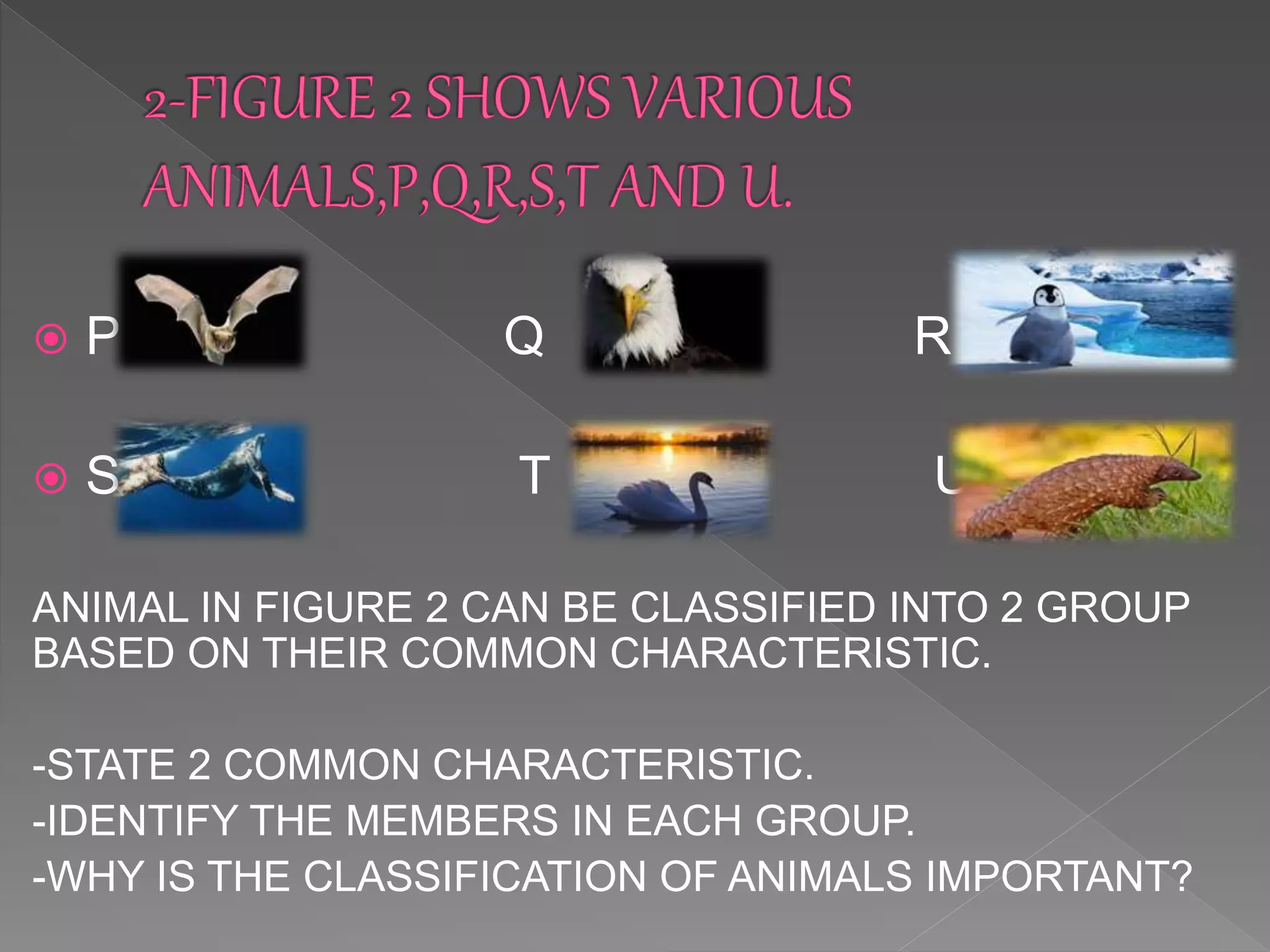 Exercise FORM 2 CHAPTER 3 | PPTX