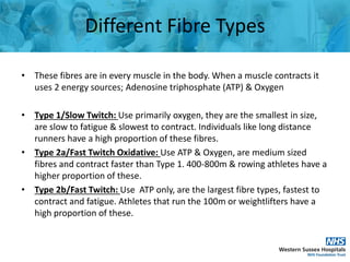 Exercise | PPT
