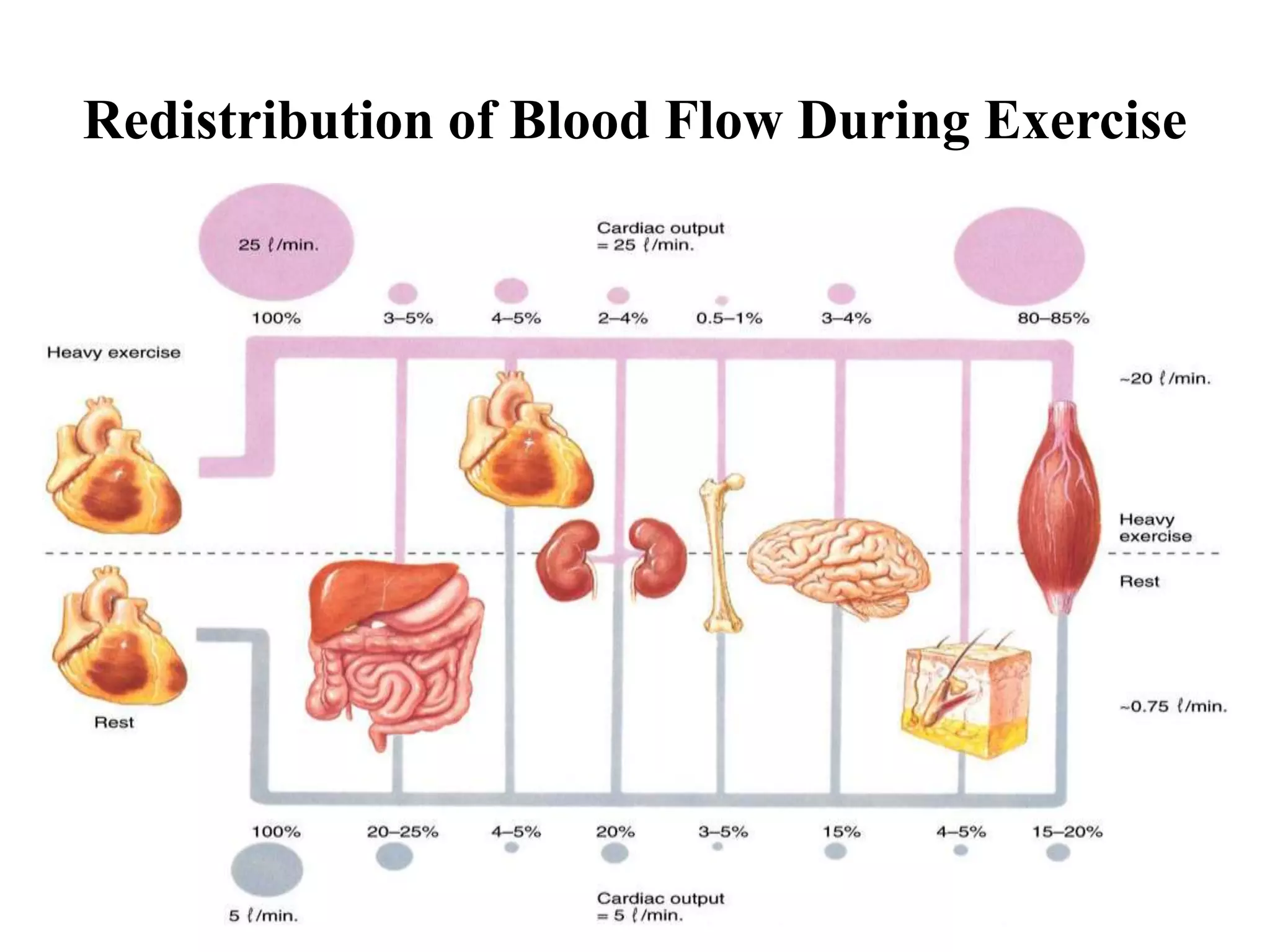 cardiopulmonary changes in exercise | PPTX