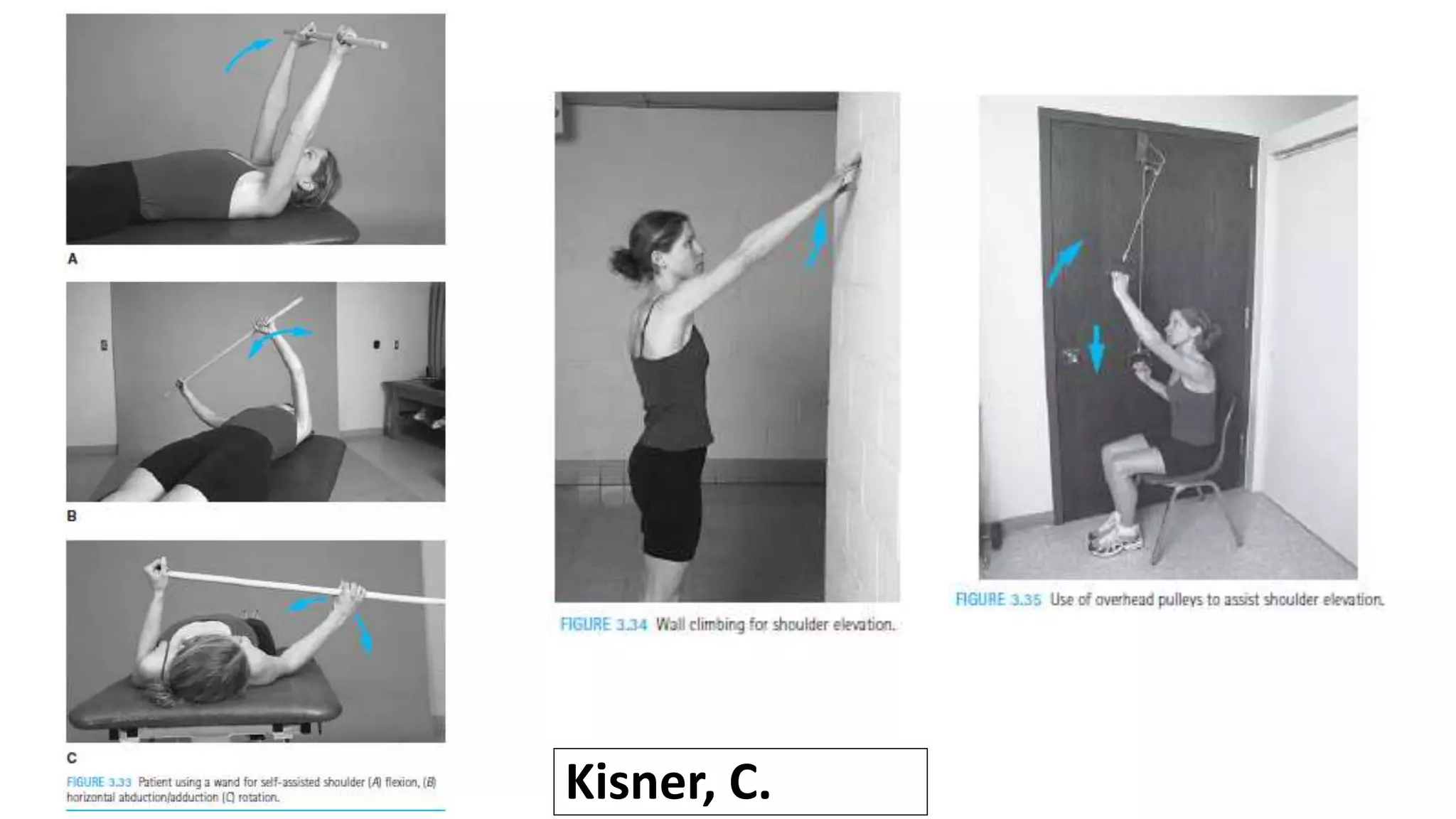 exercise.ppt | Physical Therapy | Wellness