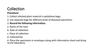 Exercise-4 Preservation.pptx