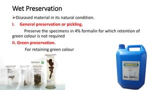 Exercise-4 Preservation.pptx
