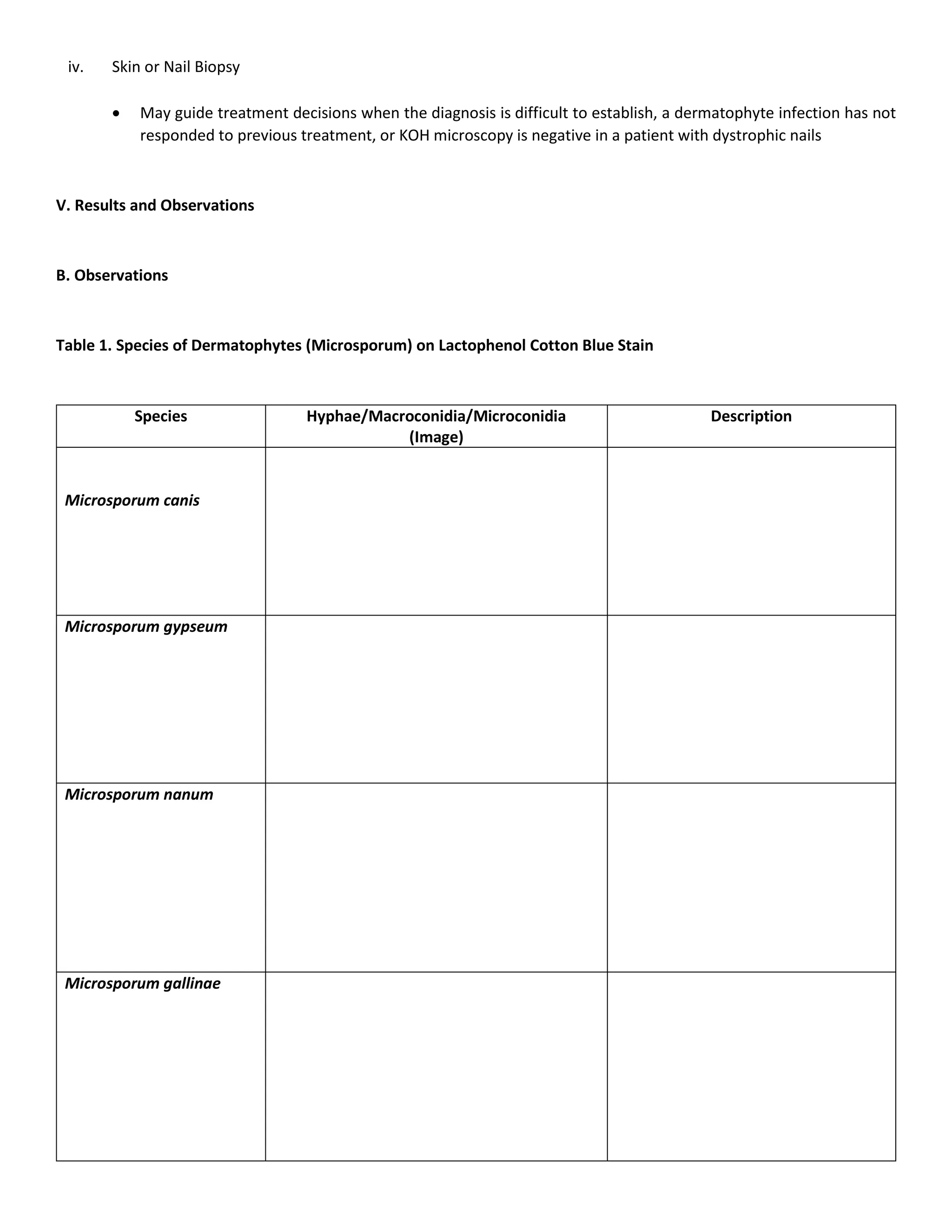 Exercise-Dermatophytes-bacteriology and mycology course | PDF