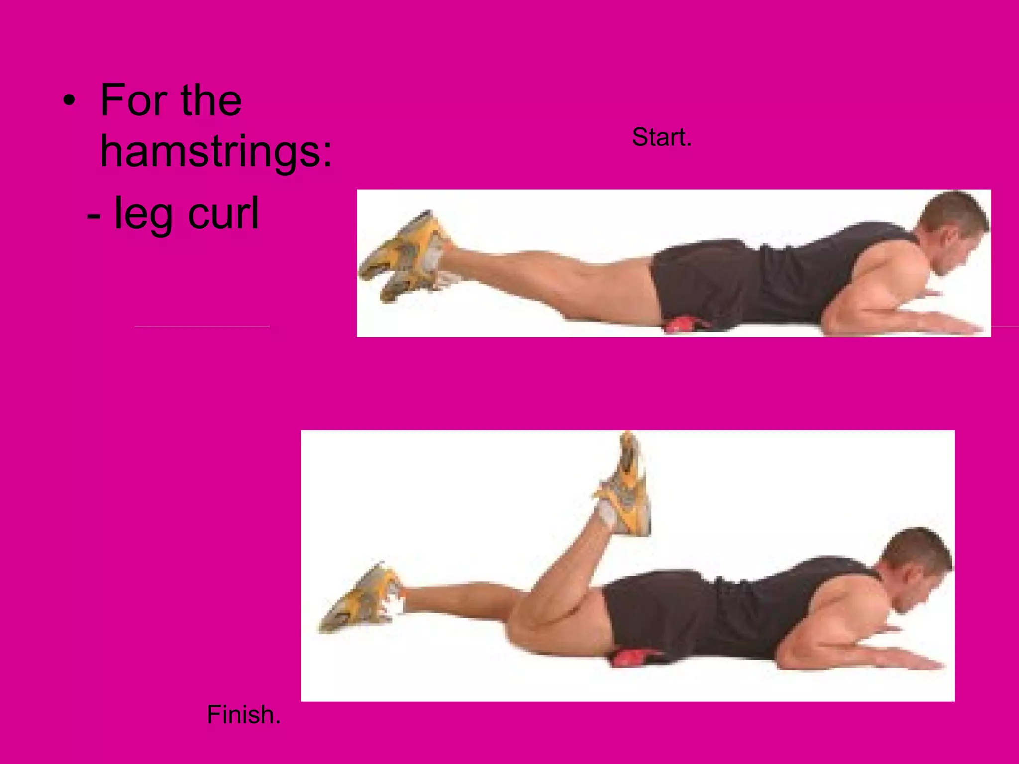 Exercise Design For Major Muscle Groups | PPT