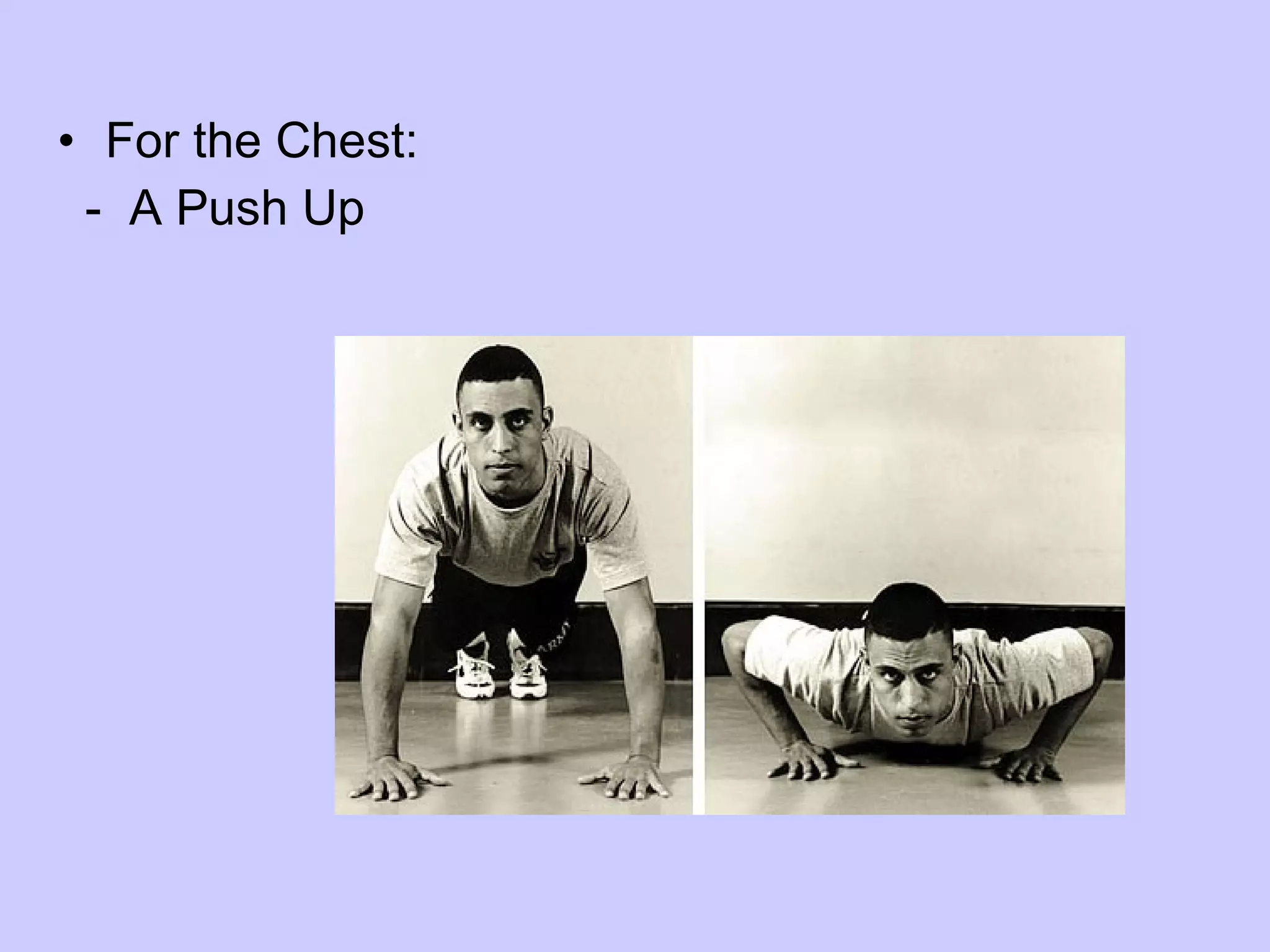 Exercise Design For Major Muscle Groups | PPT