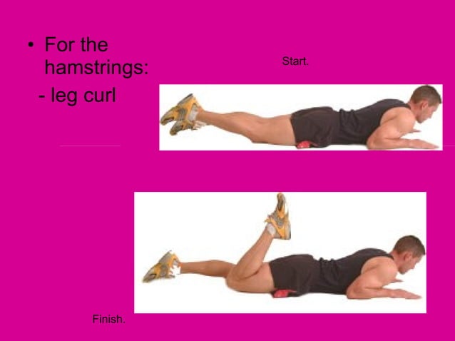 Exercise Design For Major Muscle Groups | PPT