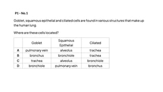 Exercise - Gas Exchange in Human Respiratory System | PPTX
