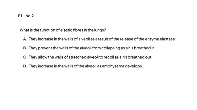 Exercise - Gas Exchange in Human Respiratory System | PPT