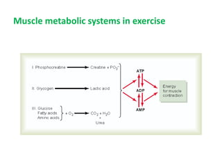 Exercise physiology | PPTX