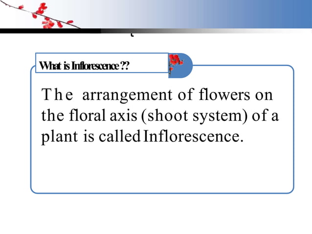 FLORAL BIOLOGY | PPTX | Gardening | Home & Garden
