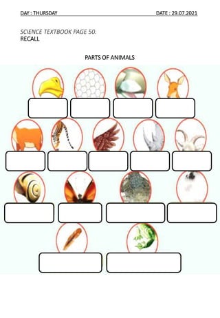 SCIENCE YEAR 1 ANIMAL | PPTX