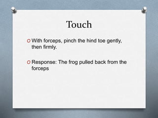 Bio22 Lab - Exercise 13 - Nervous Response (decerebrated frog) | PPTX