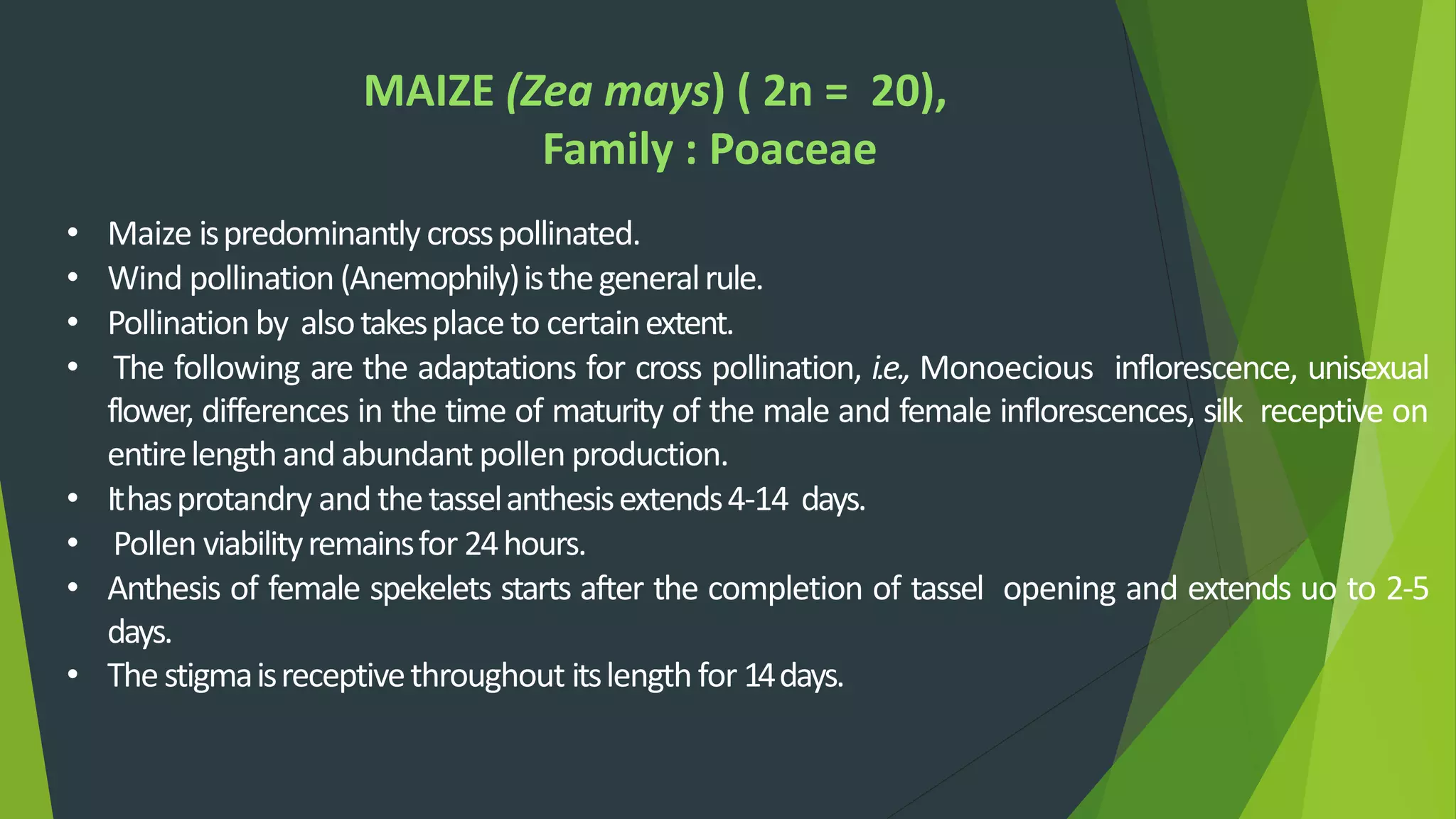 Exercise 2 emasculation and hybridization in maize | PPTX