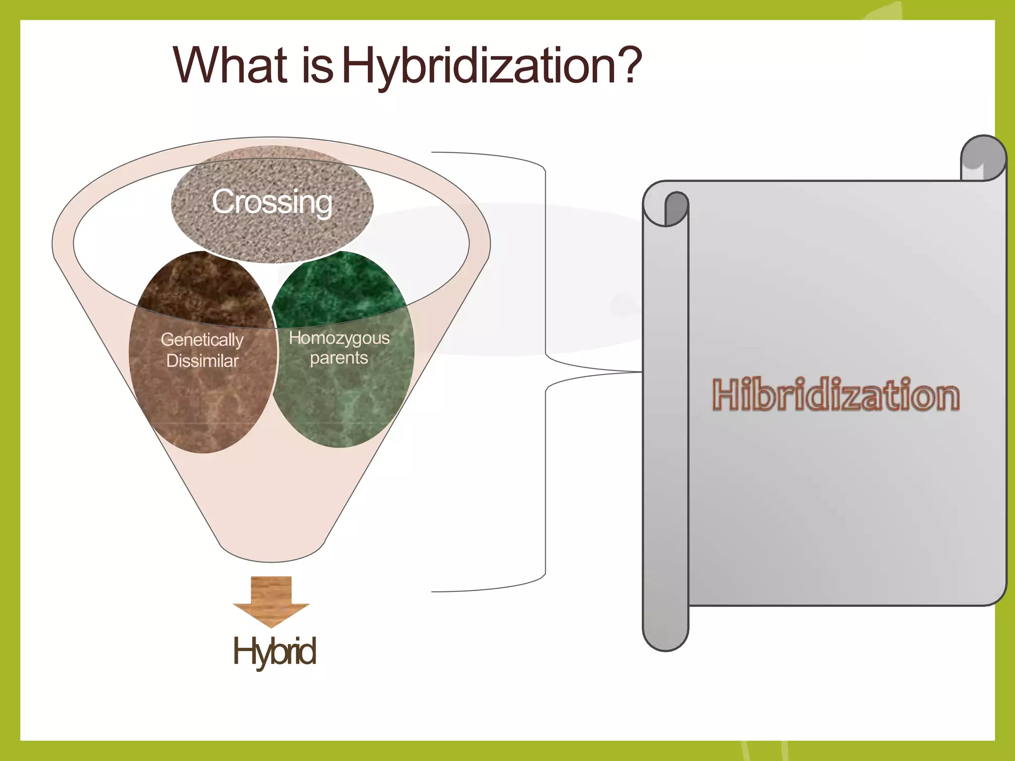 Emasculation and hybridization in rice | PPTX