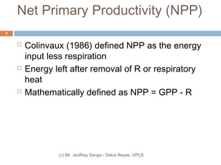Primary Productivity Definition