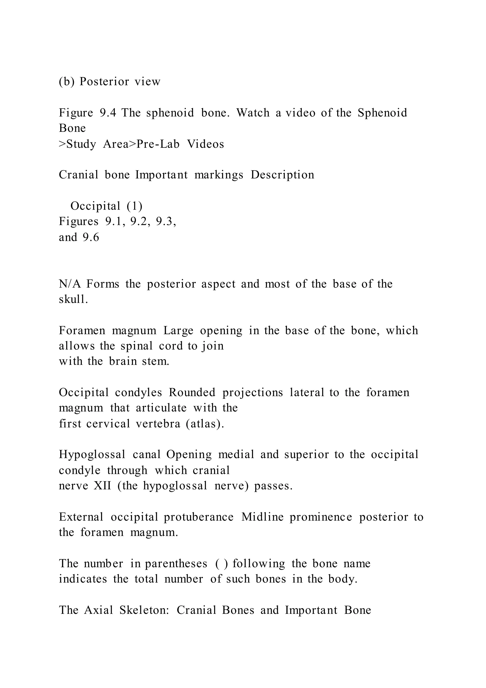 E X E R C I S E9 The Axial Skeleton121Materials | DOCX | Death, Injury, or Military Conflict ...