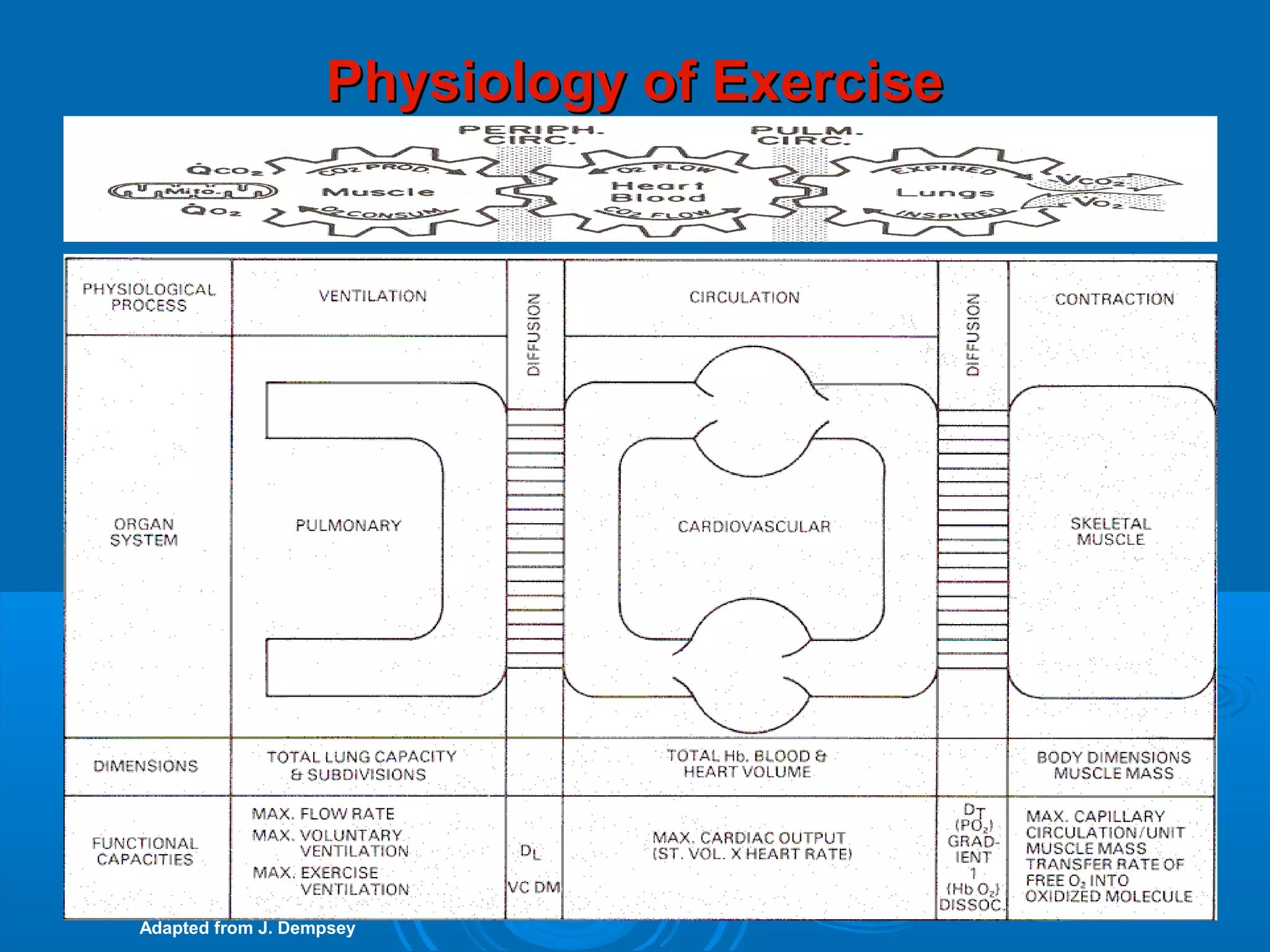 Exercise Adaptation and CPET | PPT