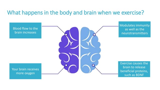 Exercise and Brain Health - Introduction.pptx | Brain and Nervous ...