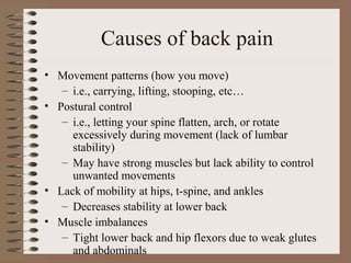 Exercise and Low Back Pain: How to Get a Strong Core and a Healthier ...