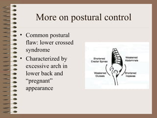 Exercise and Low Back Pain: How to Get a Strong Core and a Healthier ...