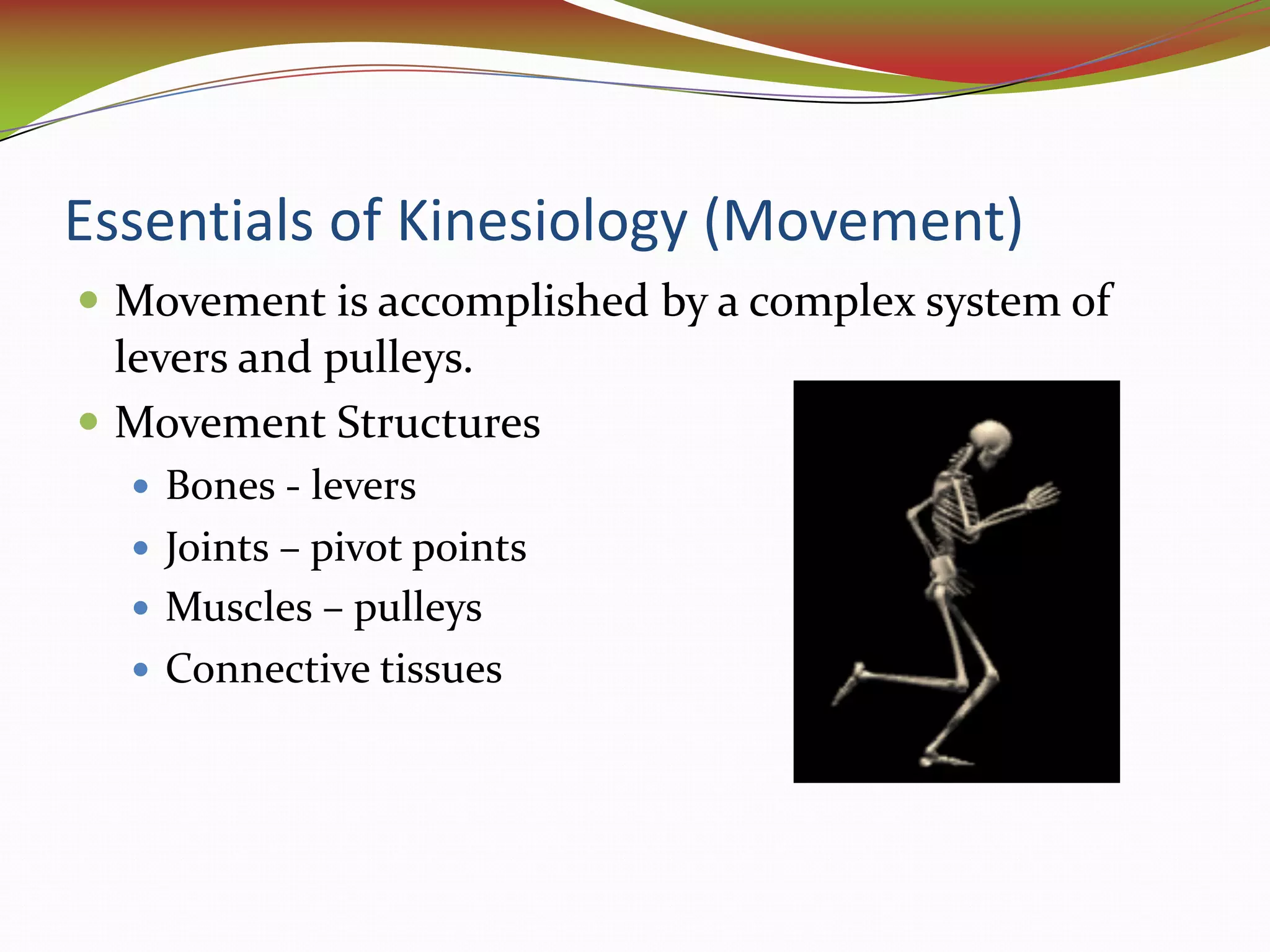 Exercise and movement | PDF