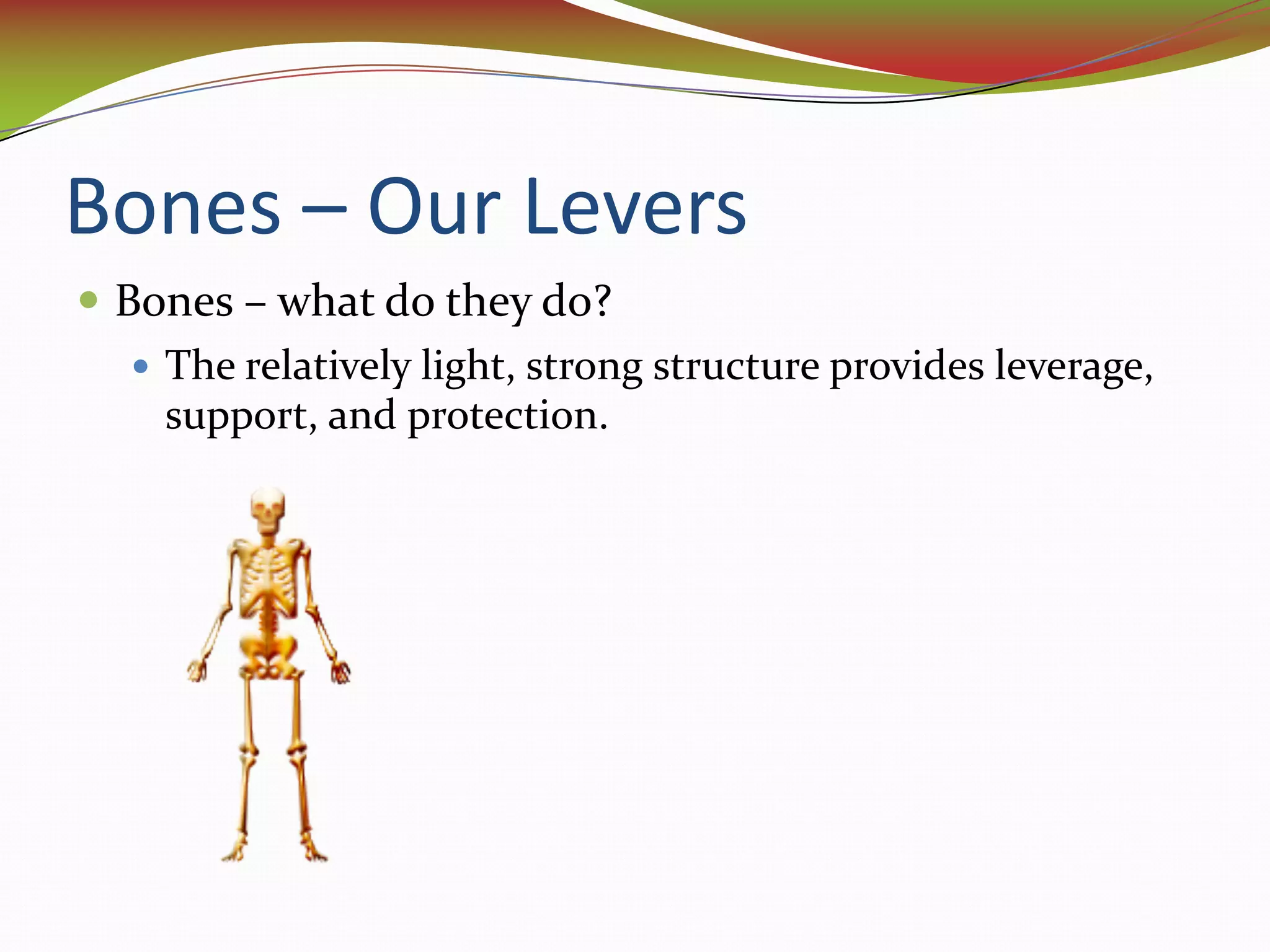 Exercise and movement | PDF