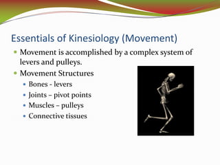 Exercise and movement | PDF