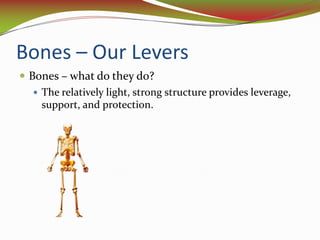 Exercise and movement | PDF